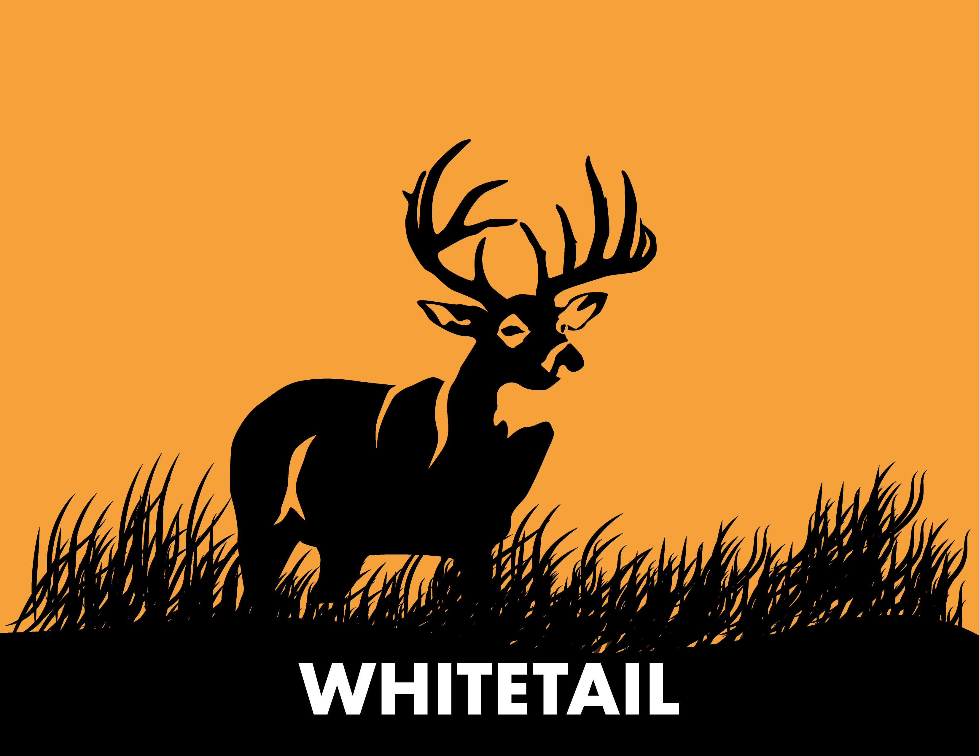 Whitetail Advanced Box